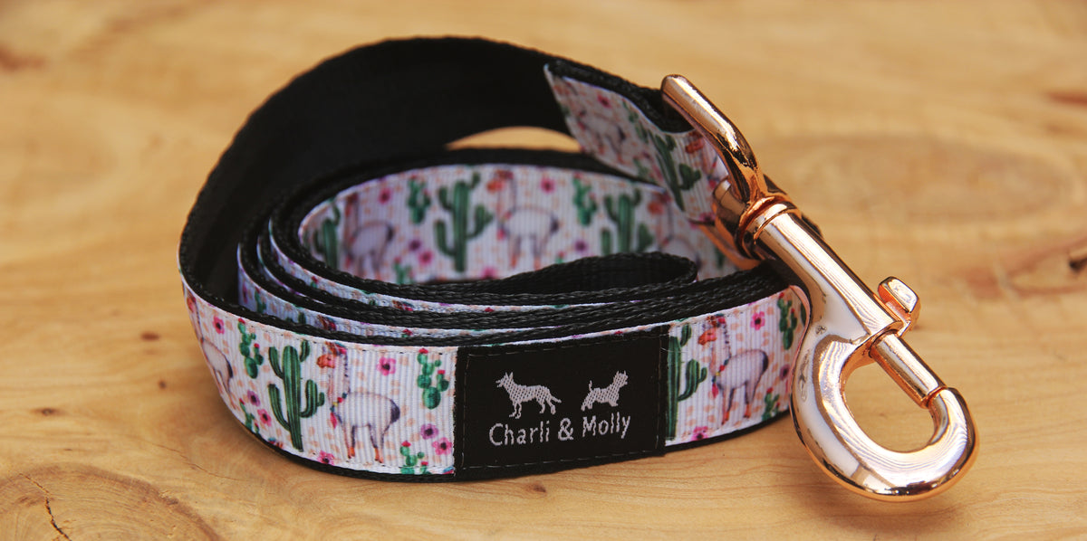 Alpaca Premium Dog Lead – charliandmolly